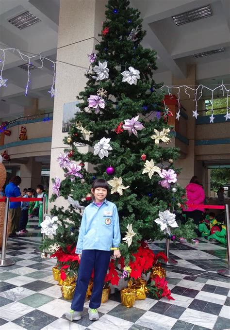 🎄叮叮噹，🎄叮叮噹，鈴聲多響亮 泉慧文理補習班 And 佳音英語 忠義分校