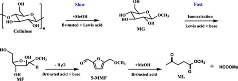 Pathway For Cellulose Conversion To Methyl Levulinate Catalyzed By Csgenb Download Scientific