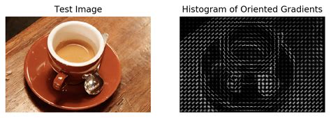 Computer Vision Roadmap 🦝