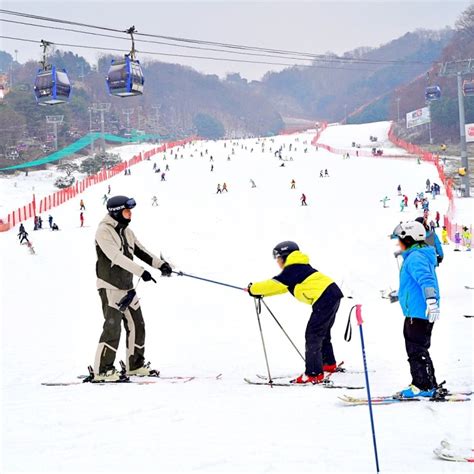 홍천비발디파크 스키강습 어린이 배우기좋은 첫 스키장 개장일 네이버 블로그