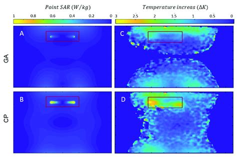 Simulation Of Point SAR Maps Projection Of Maximum Value For A