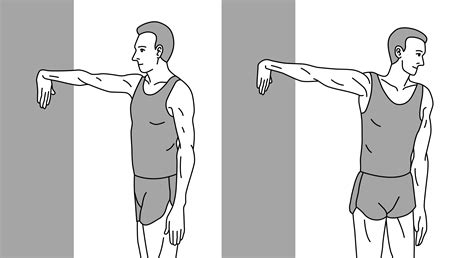 Median Nerve