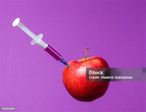 보라색 배경에 주사기로 유전자 조작 된 빨간 사과 애플에 Gmo를 주입 하는 의료 주사기 과일 개념 최소한 Dna에 대한 스톡 사진 및 기타 이미지 Istock