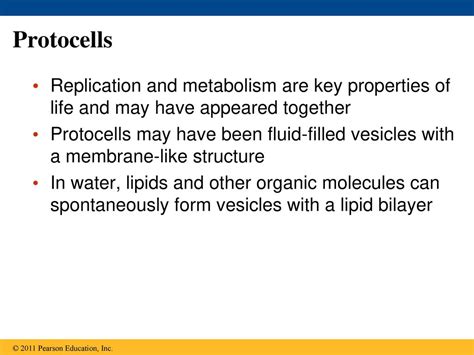 The History Of Life On Earth Ppt Download