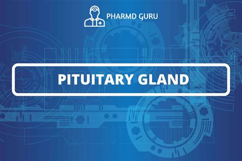 40 Pituitary Gland Pharmd Guru