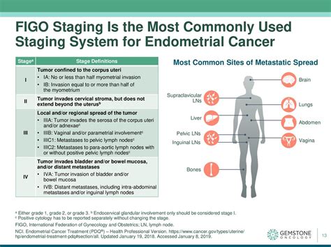 Sentinel Node In Endometrial Cancer Metastatic Pathways Auctores