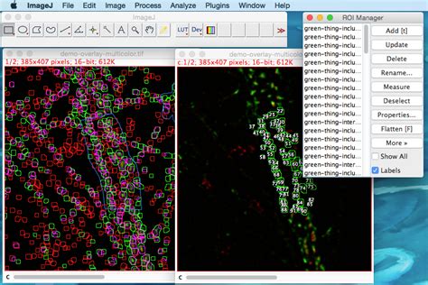 Sort Selections In Overlay Application Gilles Carpentier Research
