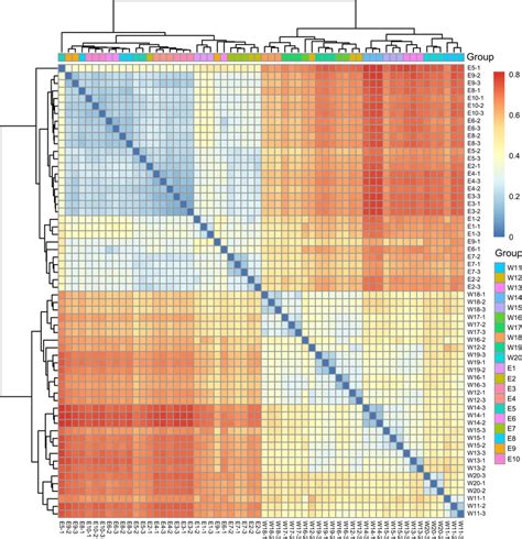 Heat Map Of Unweighted Unifrac Based Beta Diversity In Total 60