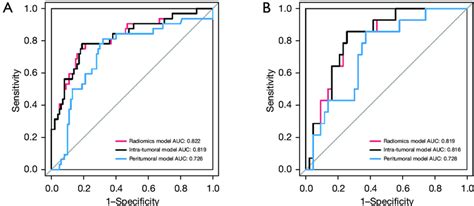 Diagnostic Efficacy Of Radiomic Models Based On Intra And Peritumoral Download Scientific