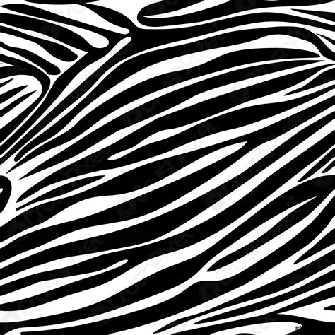 Zebra Texture Vector