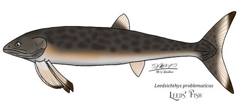 Leedsichthys Problematicus By Ognimdo2002 On Deviantart
