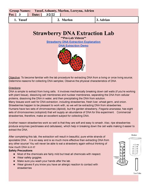 Copy Of Copy Of Copy Of Copy Of Dna Extraction Lab Group Names Worksheets Library