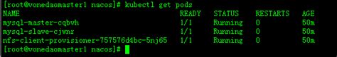 Kubernetes集群部署nacos：caused By Javalangillegalargumentexception