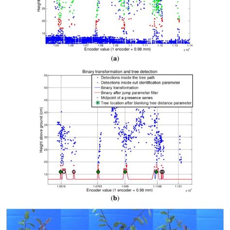 Methodology Used For Tree Stem Identification From The Lidar Detection
