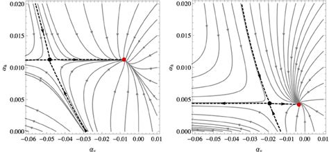 Projection Of The Phase Diagram Of The Gauge Yukawa Theory Onto The Download Scientific Diagram