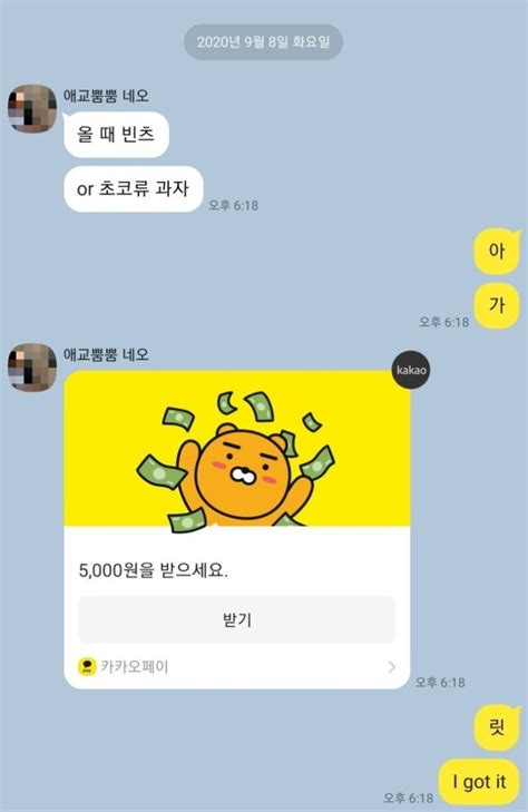 심부름 시키는 동생 유머 움짤 이슈 에펨코리아