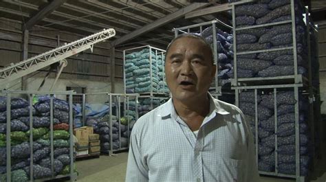 疑囤40公噸蒜頭 農會理事長駁：是蒜種
