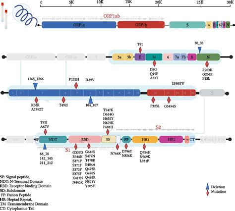 Sequencing And Mutations Analysis Of The First Recorded Sars Cov 2 Omicron Variant During The