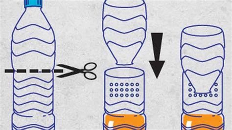 All About Bed Bug Bites With Key Solutions To Truly Get Rid Of Them