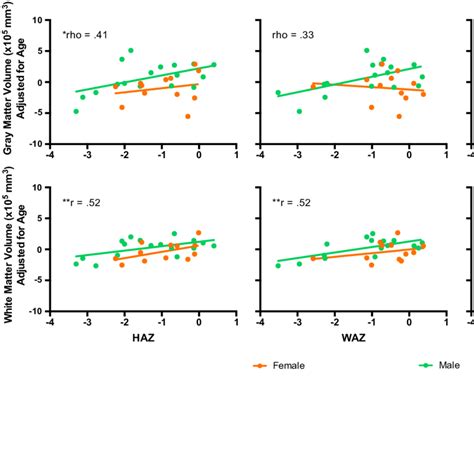 Brain Anthropometry Relationships Anthropometric Indicators Measured