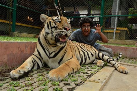 khalid farhan — freelancer to selling a website for 26000 by jamie hill medium