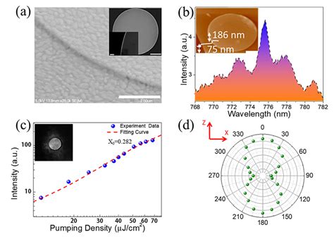 哈尔滨工业大学肖淑敏课题组：基底调控的混合模式表面等离子体激光 X Mol资讯