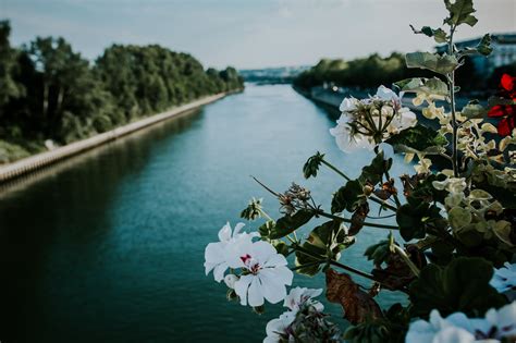 무료 이미지 수로 물줄기 반사 꽃 식물 강 플로라 하늘 나무 바다 은행 경치 운하 수자원 관광 여행 호수 5375x3583