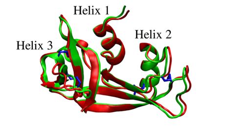 Structure Of Rnase With 124 Amino Acids As Cartoon Image Showing Main
