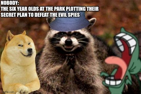 Evil Plotting Raccoon Meme Imgflip