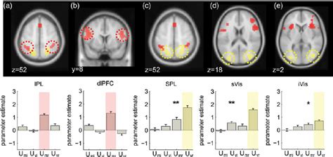 Imaging Results From Dorsolateral Prefrontal Parietal And Visual