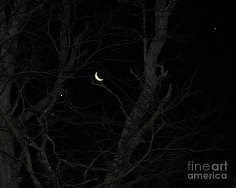 Venus Jupiter And The Moon Photograph By Sharon Bitner Pixels