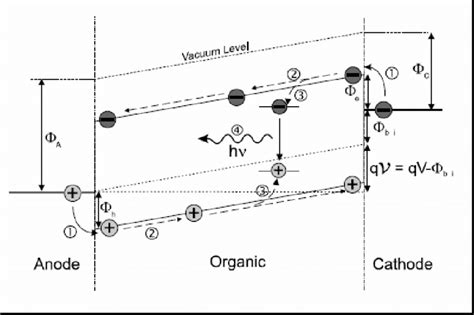 Structure Of A Single Layer OLED Anode Organic Material Cathode Download Scientific