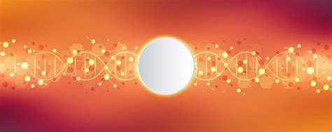 Dna 가닥 하 고 분자 구조입니다 유전 공학 또는 실험실 연구입니다 의료 또는 과학 및 기술 설계를 위한 배경 텍스처 벡터