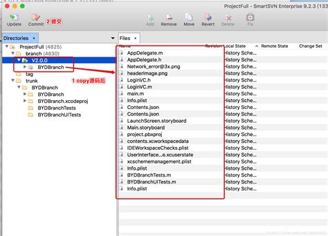 Svn分支开发管理（smartsvn）smartsvn如何创建分支番薯大佬的博客 Csdn博客