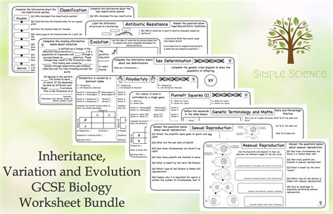 Inheritance Variation And Evolution Gcse Biology Paper 2 Worksheet