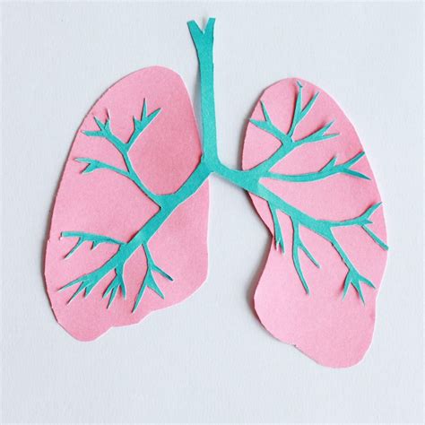 Women And Asthma How Do Female Sex Hormones Affect The Condition