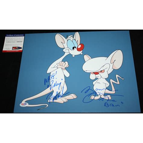 Animaniacs Pinky And The Brain