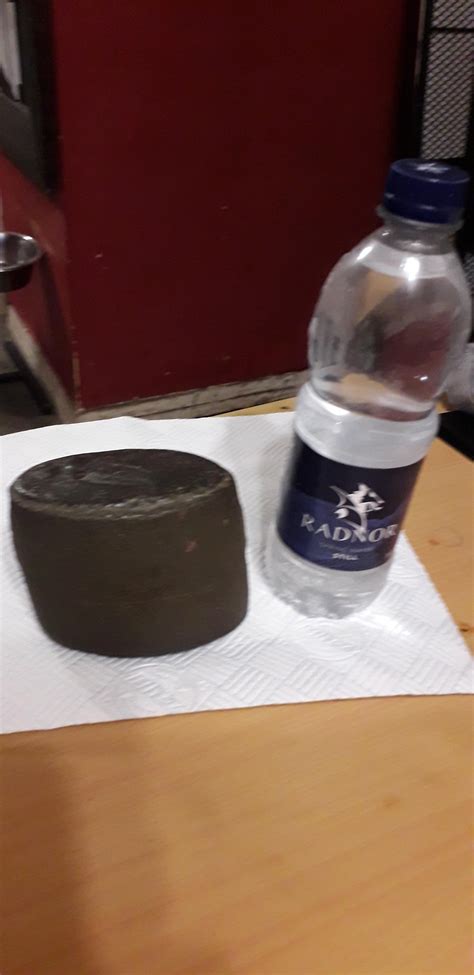 Could It Possibly Be A Fossil R Fossilid