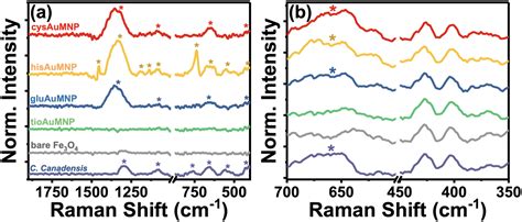 From Rust To Riches Phytochemically Assisted Synthesis Of Superparamagnetic Fe 3 O 4