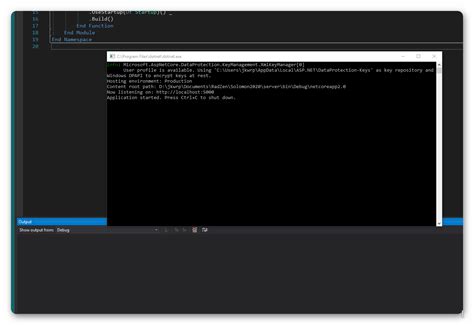 Run Debug App From Visual Studio Radzen