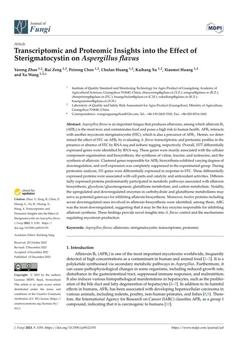 Pdf Transcriptomic And Proteomic Insights Into The Effect Of