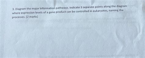 Solved 3 Diagram The Major Information Pathways Indicate 3