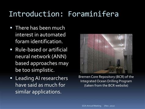 Ppt Human Based Computation For Microfossil Identification Powerpoint Presentation Id 2253954