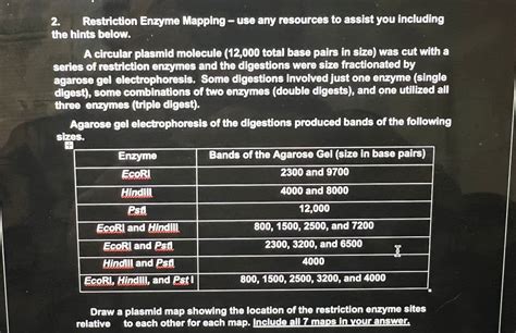 Answered 2 Restriction Enzyme Mapping Use Any Bartleby