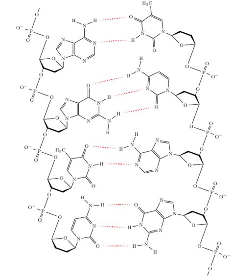 Latex Drawing At PaintingValley Explore Collection Of Latex Drawing