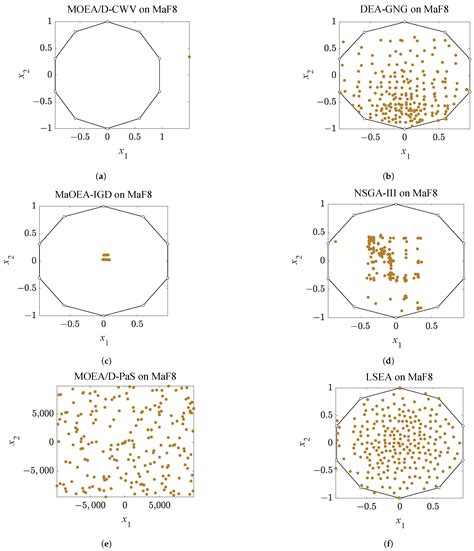 Handling Irregular Many Objective Optimization Problems Via Performing Local Searches On