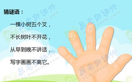大班数学优质课教案左和右含PPT课件 屈老师