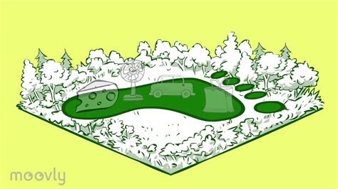 Ecological Footprint