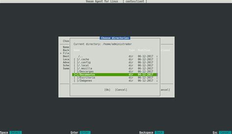 Backups Al Cloud Con Veeam Agent Linux V20 Aprendiendo A Virtualizar