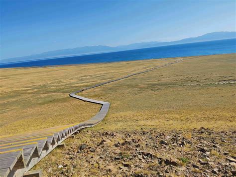 Anig Kus Technologist Author Interested In Distributed Technology And